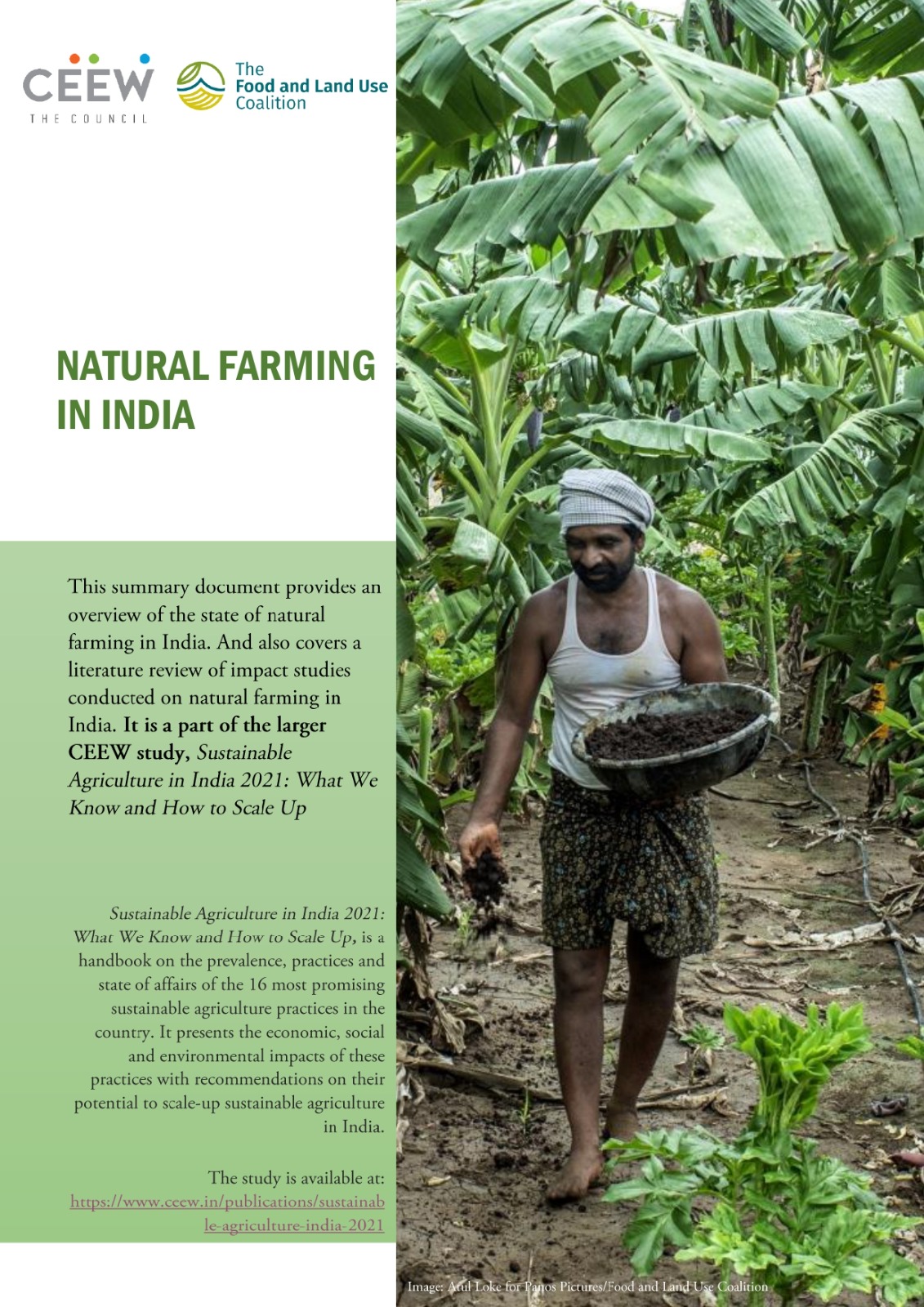What is Natural Farming Cultivation in India? CEEW Research